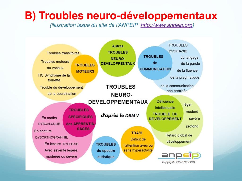 Qu’est ce qu’un TND (trouble neurodéveloppemental) ? – Ondine ROBERT ...